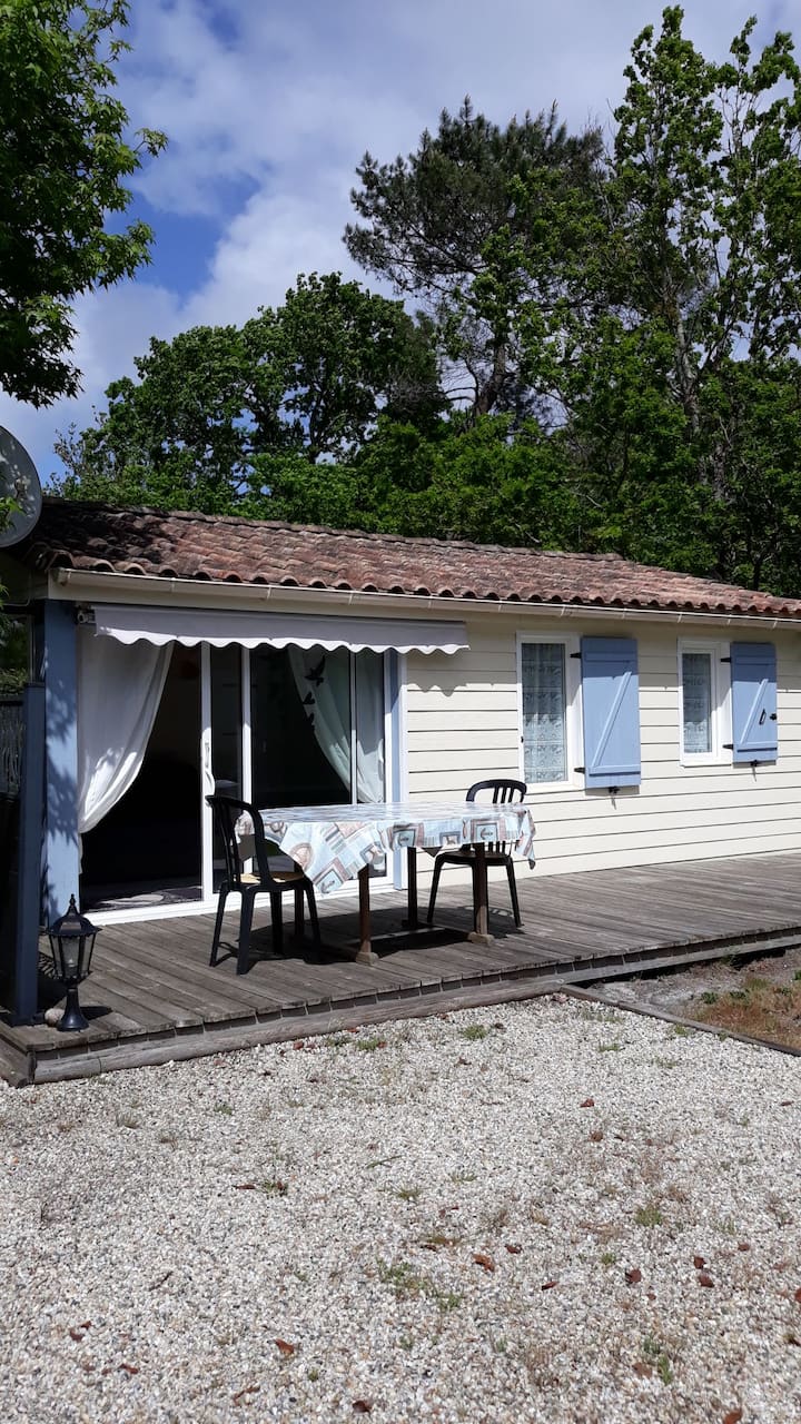 Chalet Entre Forêt, Lac Et Océan - Hourtin