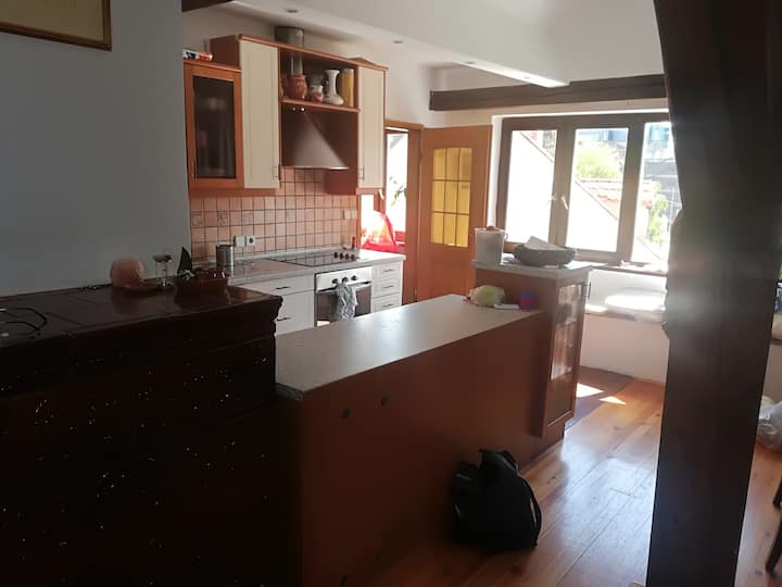 Labirint - Ljubljana