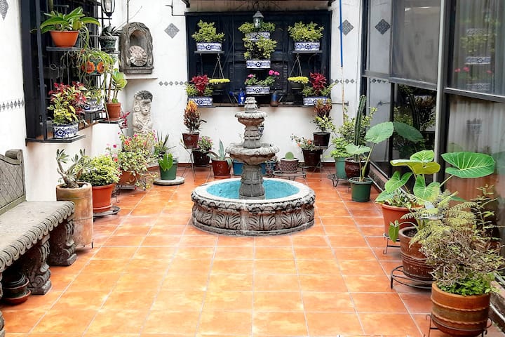 Beautiful Bright House 5 Star Stay In Coyoacan - Mexico City