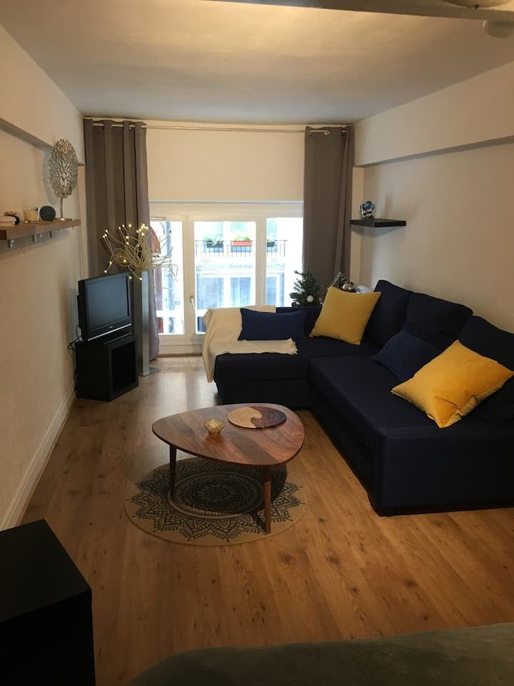 Petit Cocon De 33m2 à Deux Pas De Bellecour - Lyon