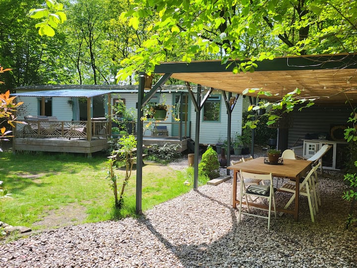 Chalet Mooi Schoonloo - Drenthe