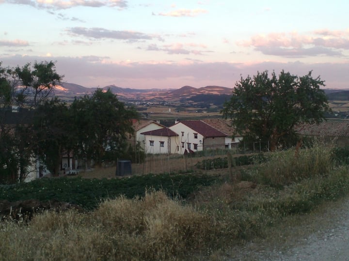 Casa Rural Cerca De Pamplona - Larraga