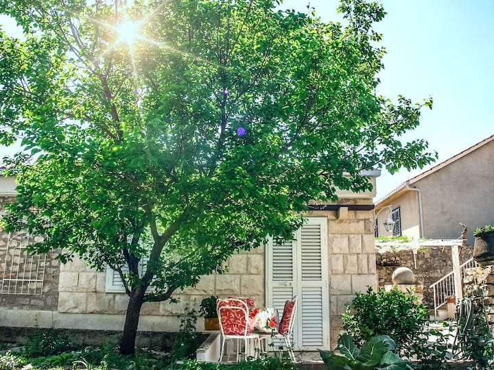 Bol Center -- Yaya's Little House - Bol