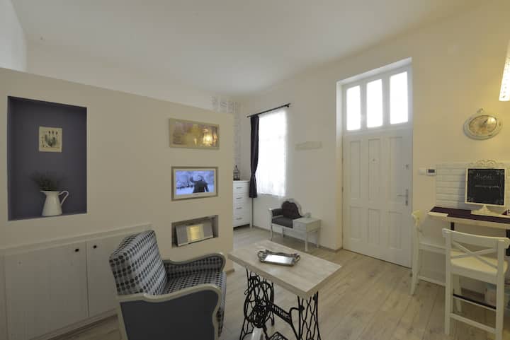 Next To Danube+ac+pedestrian Streets+market Hall - Budapest