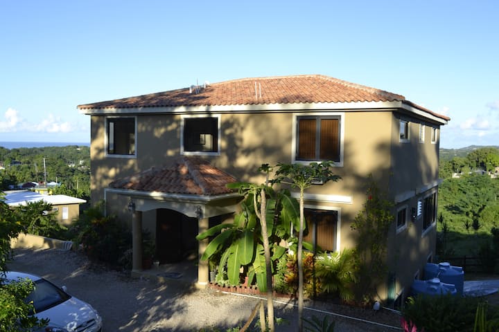 Amazing Ocean View Villa - Villas for Rent in Rincón, Rincón, Puerto ...
