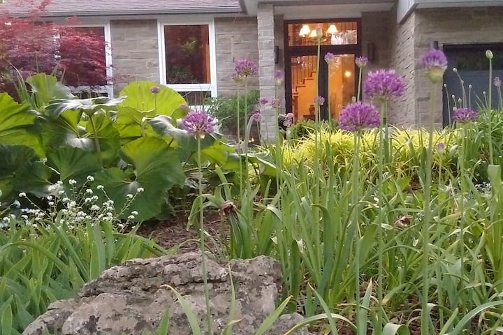 Kitchener-Waterloo Vacation Rentals & Homes - Ontario, Canada | Airbnb