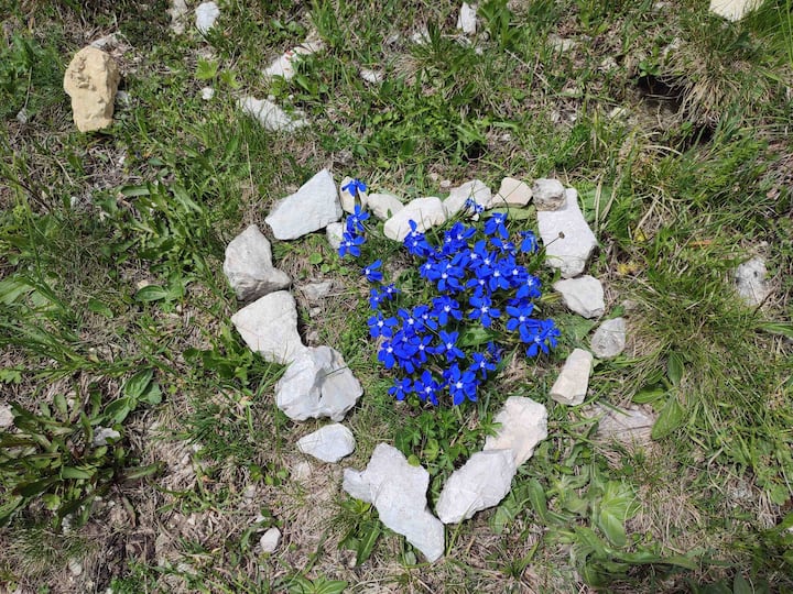 Rustic Experience In The Heart Of The Dolomites - Agordo