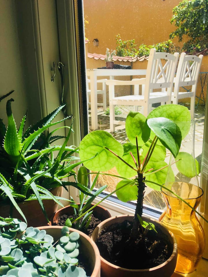 Nice City House Very Quiet Hood Near All You Need - Aarhus