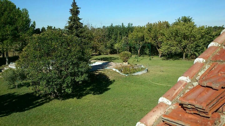 Las Rosas - Nava del Rey