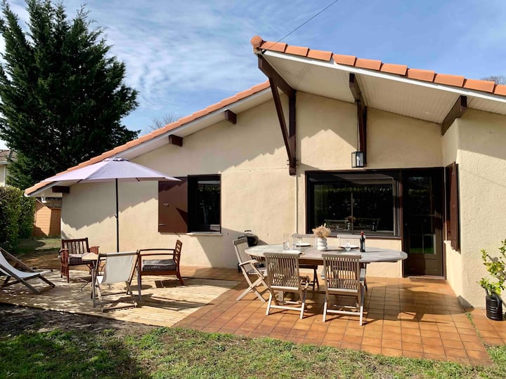 Les Chanterelles - La Teste-de-Buch