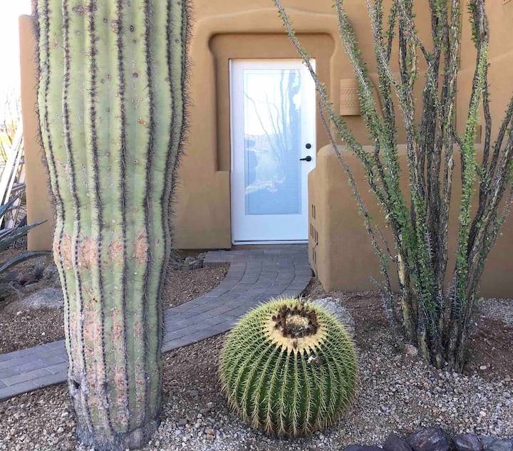 Blue Agave West One Queen Suite - Scottsdale, AZ