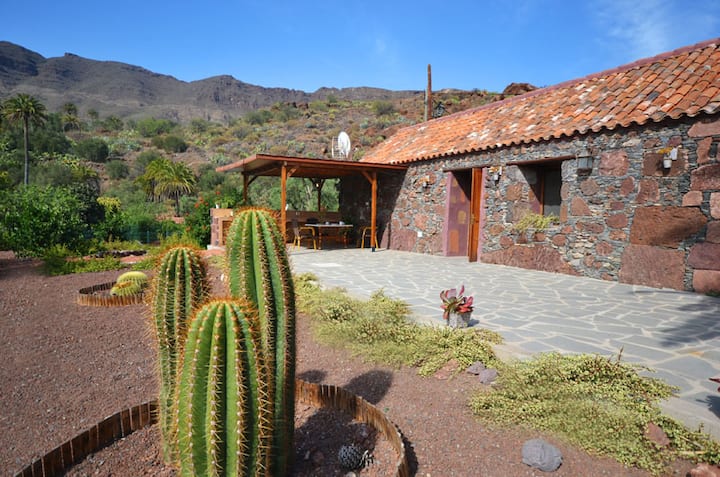 House Surrounded By Palm Trees And Fantastic Views - Tejeda