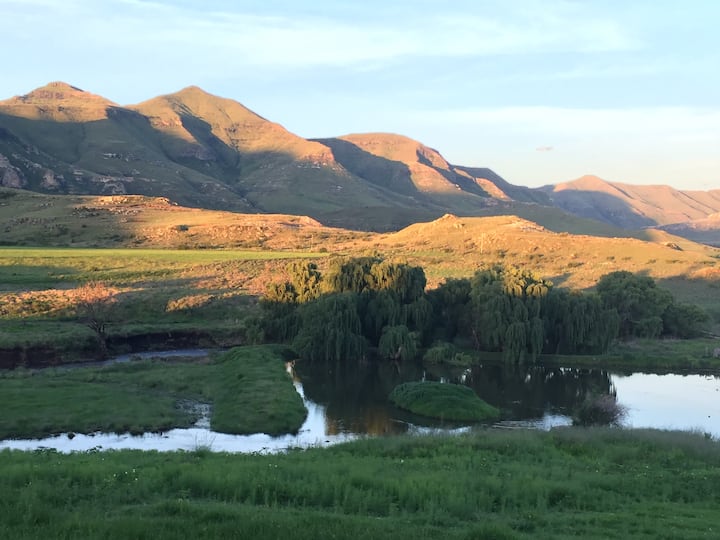 De Molen Farm: The Milkshed - Clarens