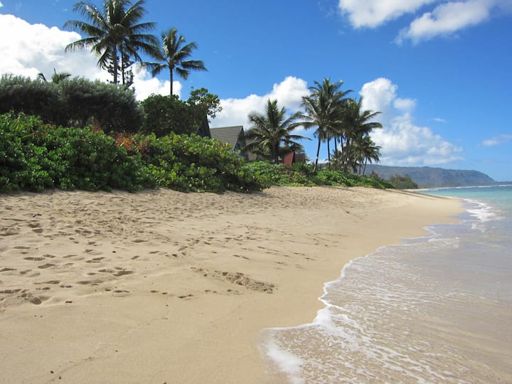 North Shore Steps Away From Beach - Hawaï
