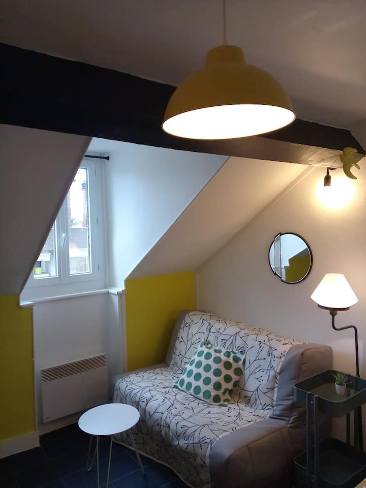 Studio Atypique Sous Les Toits  Calme Centre-ville - Pau