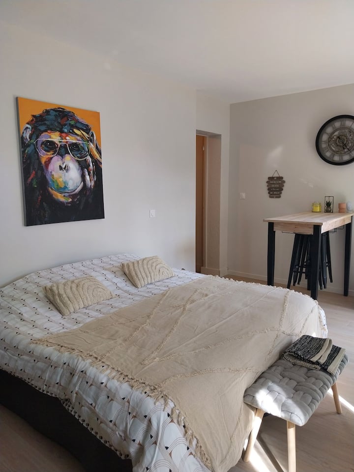 Studio - Vals-les-Bains