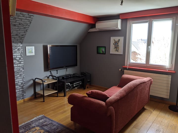 Appartement 90m² Près De Strasbourg - Rheinau