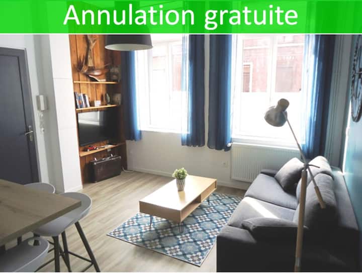 Appart (1) T2 + Cour (Prox Gares, Centre Et Métro) - Lille