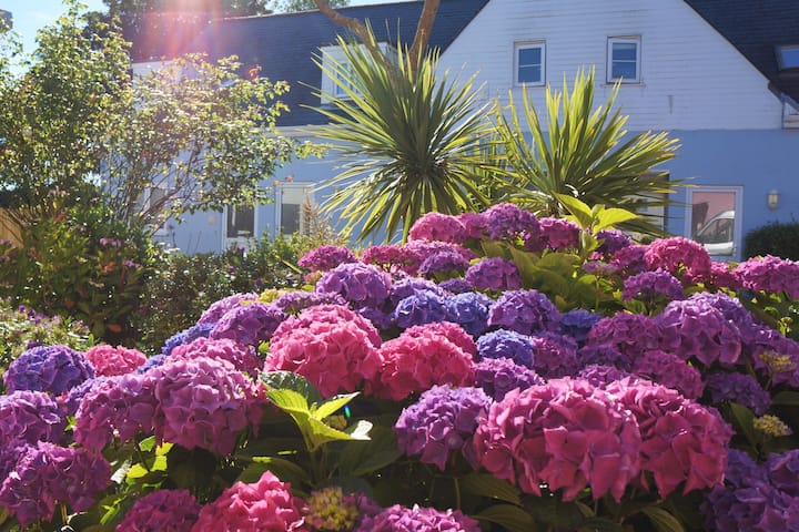 Ellingham, St Martins - Superior Garden Cottage - Guernsey