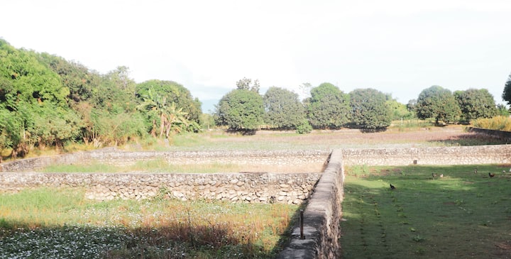Commune With Nature In Our Organic Farm - Rosales