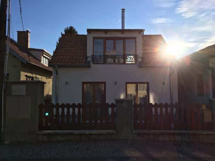 Loftartige Wohnung Im Grünen (12 Min Ins Zentrum) - Vienna