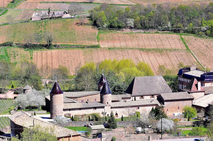 Gite La Bellevue - Beaujolais
