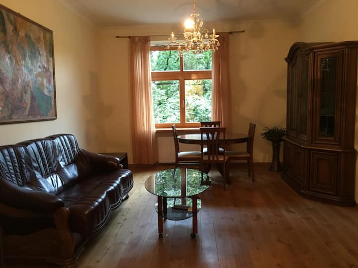 Luxurious Apartment In City Centre - Kaunas