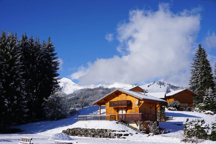 Chalet 8 Pers. Idéal Ski Et Vtt Morzine Les Gets - Avoriaz