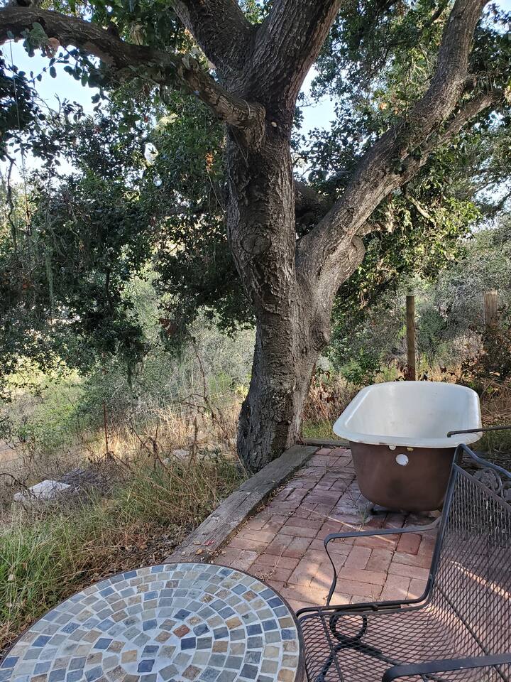 Top 4 Yurts Near Lake Cachuma, California - Updated 2024 | Trip101