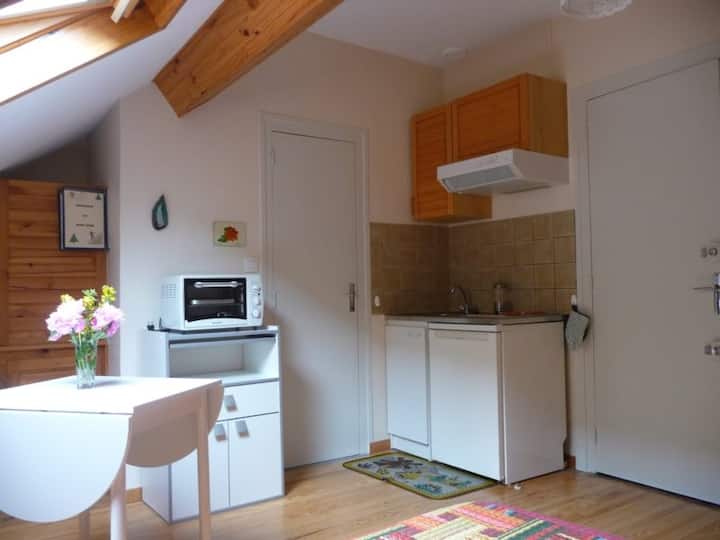 Studio Centre 2 Pers.15m2, Parking Gratuit, Rando - Puy de Sancy