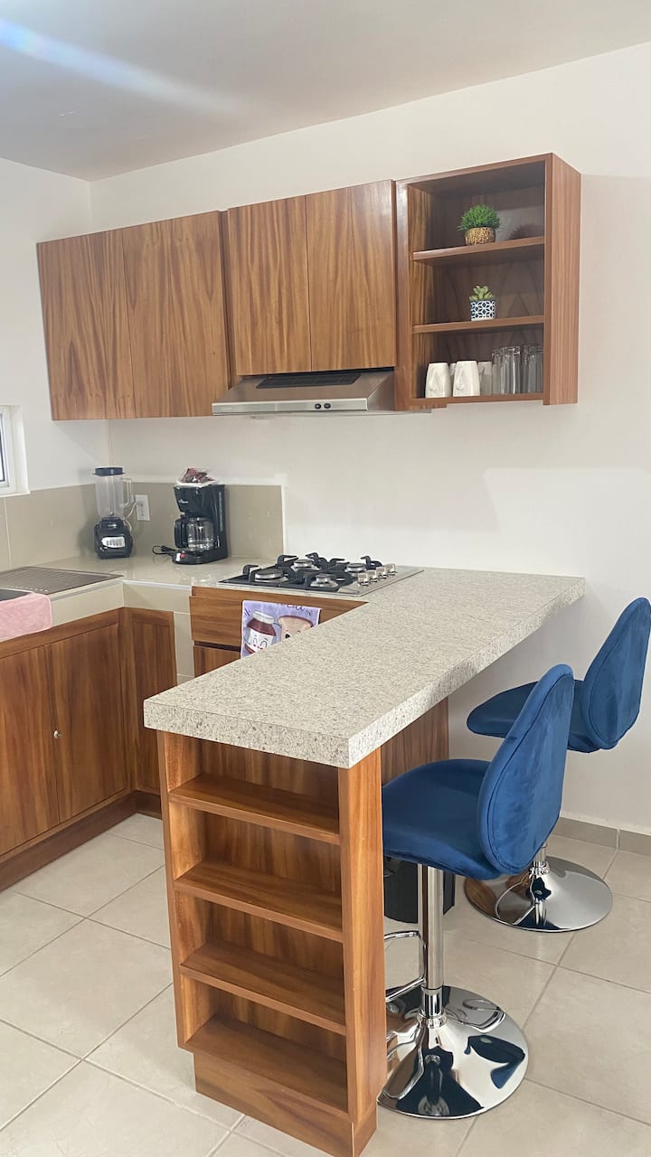 Departamento La Cortadura En Tampico - Tampico, Mexico