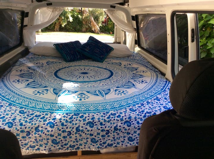 Byron Adventure Vans - Dolphin Dreaming - Byron Bay