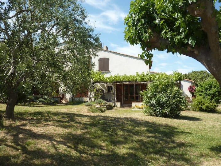 Roumégou- Apt 2 Ch, 3*- Dans Ferme Du Moulin Roux - Ramatuelle