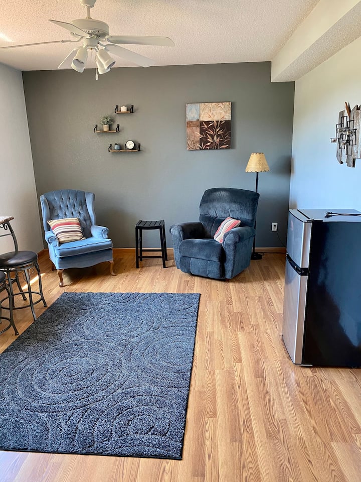Full Basement 5 Minutes From Zorbaz! - Detroit Lakes, MN