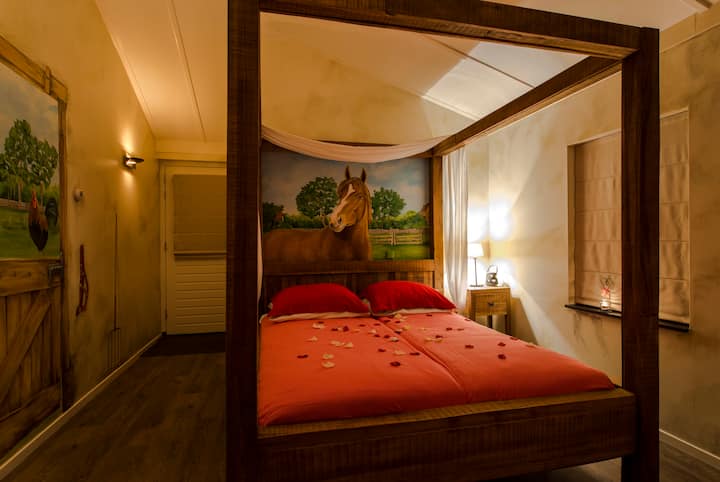 Happynes Paard, Bed No Breakfast - Nes