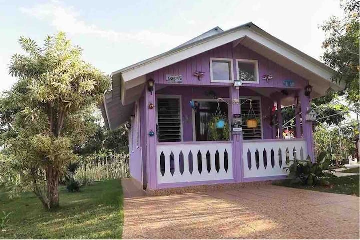 Tiny House - Arecibo
