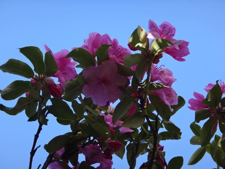 Exec Suite In Beautiful Area 4 Long-term Professnl - Eureka, CA