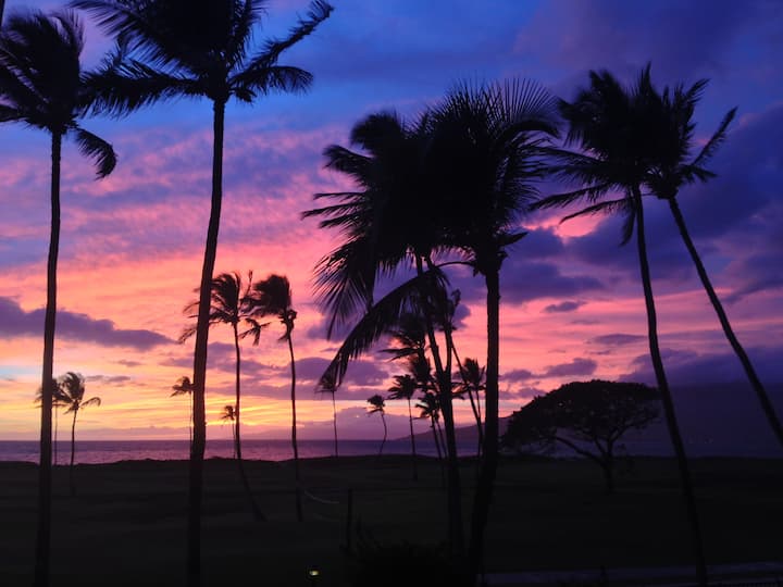 Sunset Palms Condo – Ocean Views & Family Friendly - Maui, HI