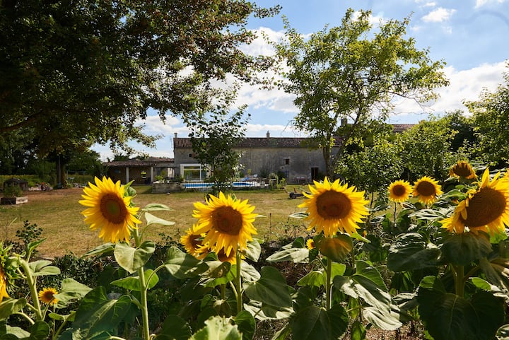Pougemin Gîte, Bar Et Restaurant - Charente-Maritime