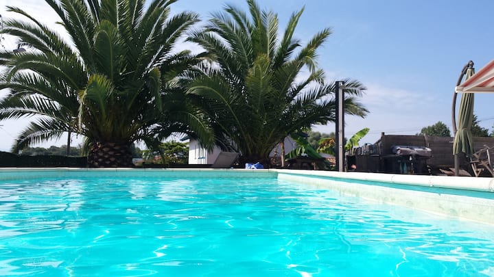 Studio  Faone Agréable à Vivre Avec Piscine - País Vasco francés
