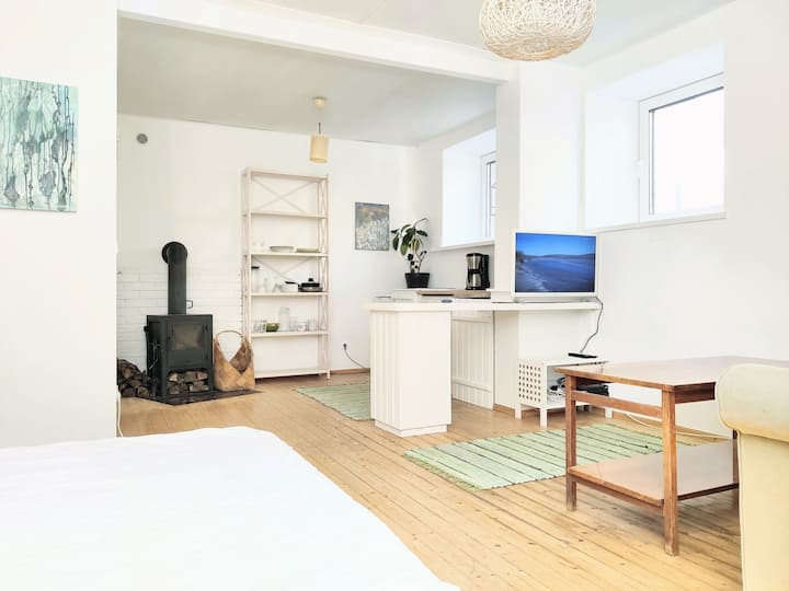 Peaceful Studio In Telliskivi Creative City - Tallinn