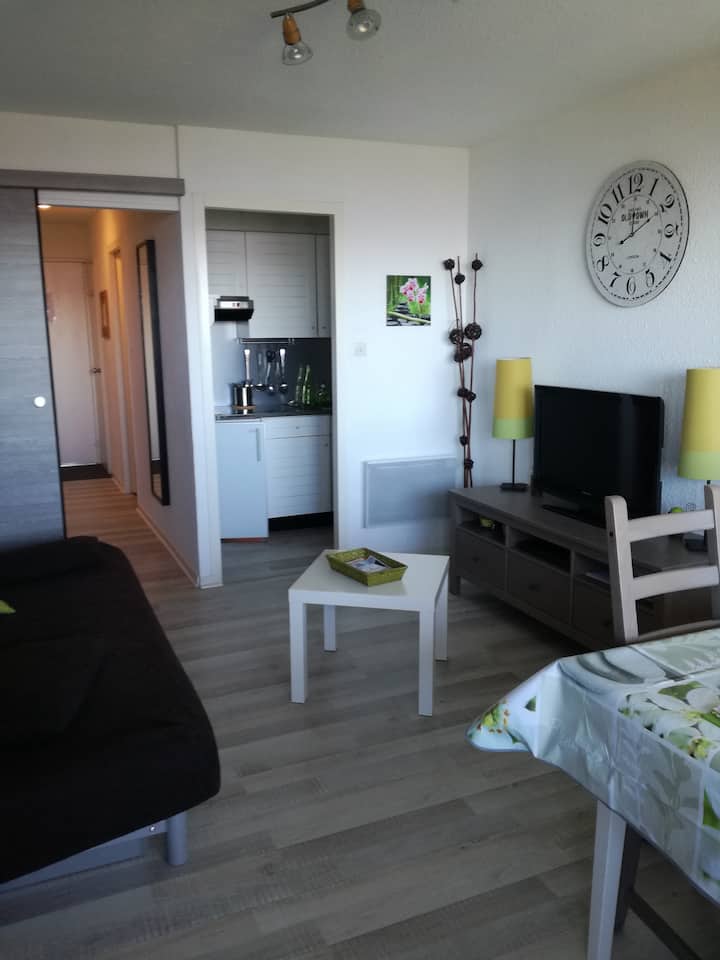 Studio Montagne Collet D'allevard Pied Des Pistes - Allevard