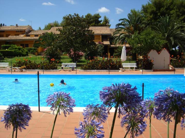Tropea Le Palme. Casa Ristrutturata A Nuovo - Zambrone