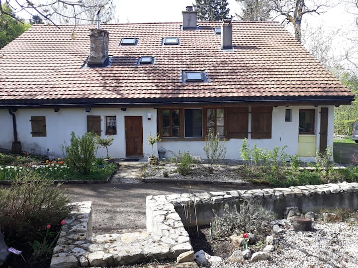 Joli Chalet Chaleureux En Pleine Nature à Chaumont - Neuchâtel