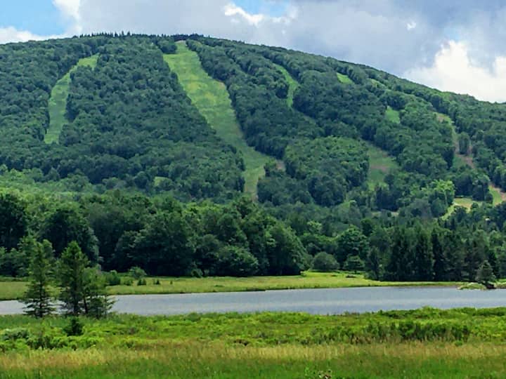 Treeline At Timberline! - Canaan Valley, WV