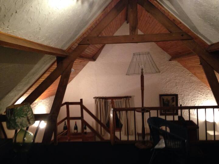 Gîte/loft Avec 2 Mezzanines 120m2 . - Montreuil