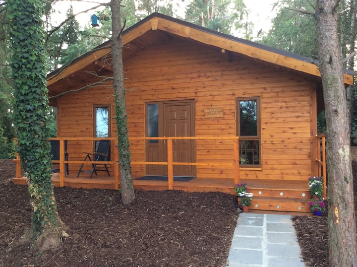 Cedar Cabin Nestled In The Woods - Irlande