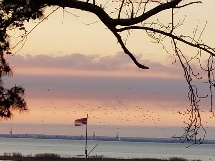 The Twaining. - Daphne, AL