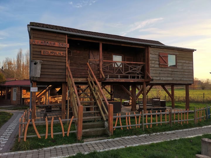 La Cabane Des éCureuils - Hannut