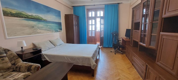 Классическая квартира рядом с метро Лыбидская - Kyiv